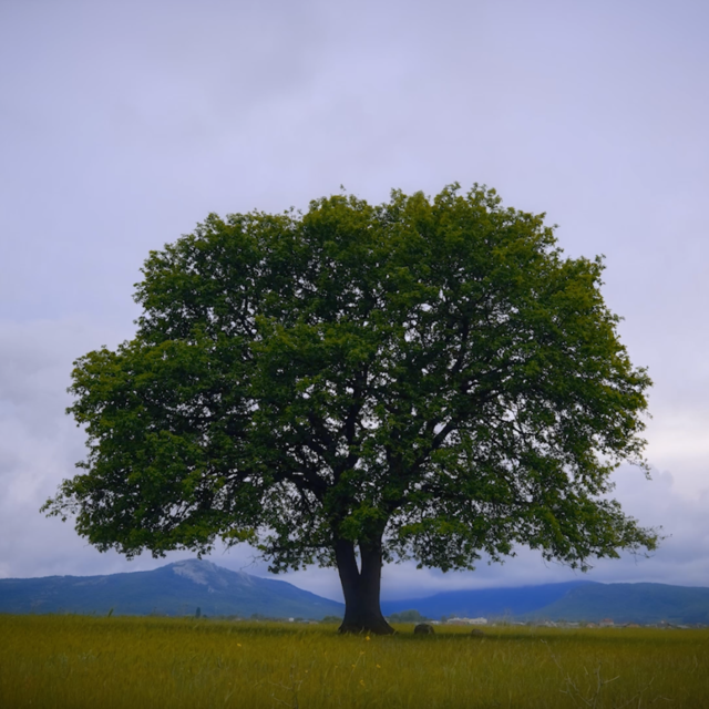 Creative Concern | Work that matters